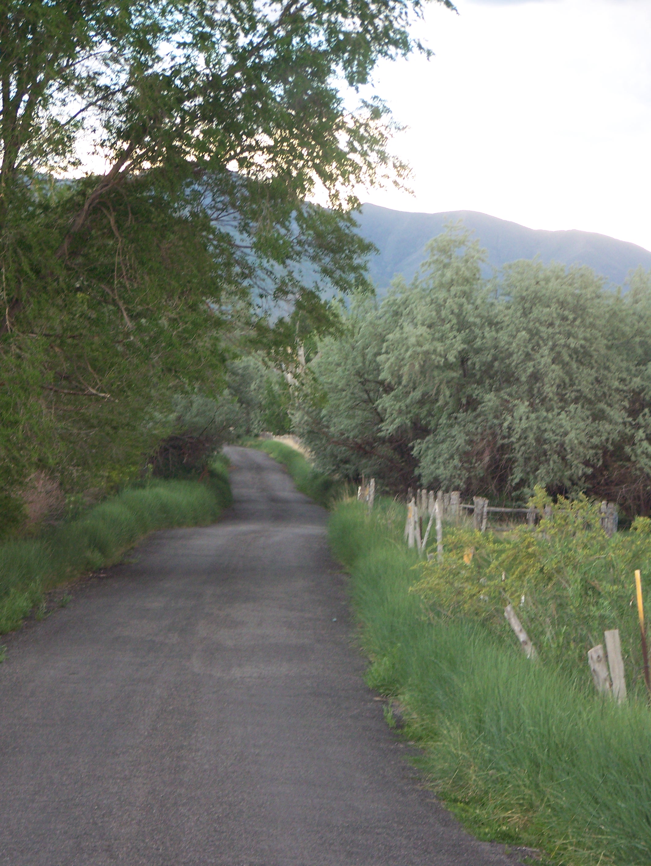 Introduction to Rabbit Lane: Memoir of a Country Road | Rabbit Lane
